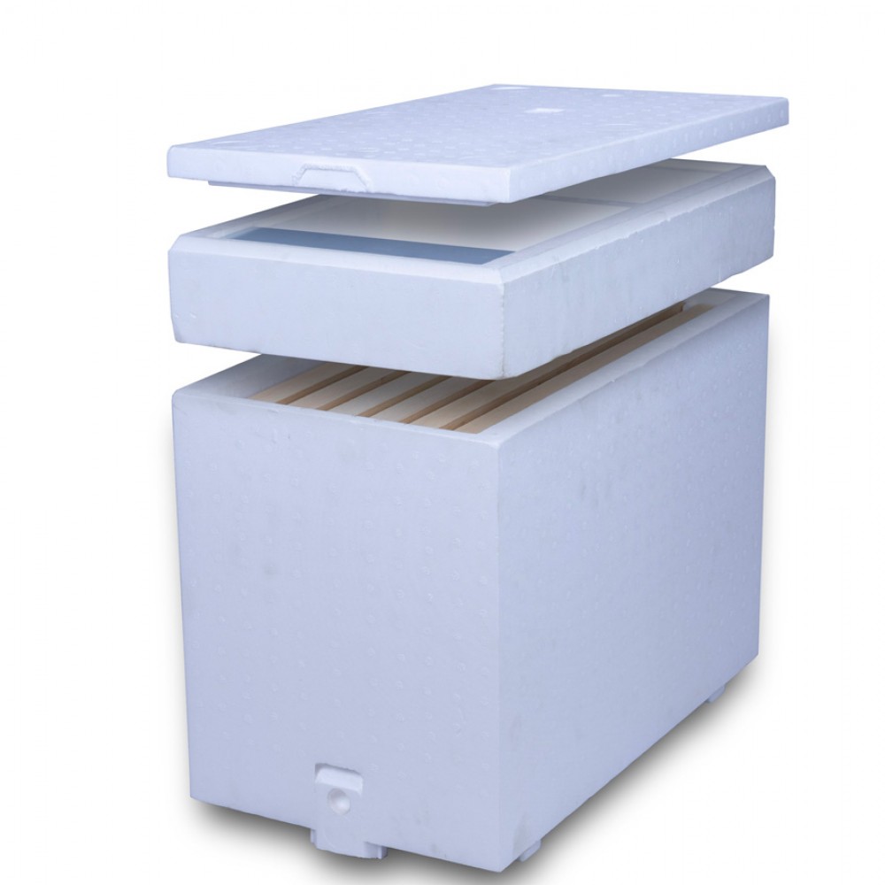 6 FRAME DADANT FULL POLYSTYRENE NUC HIVE WITH 25 MM THICK SIDES - IT ...