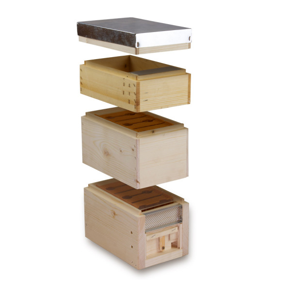 NUCLEU APIDEA - MODEL IT - SS7800I